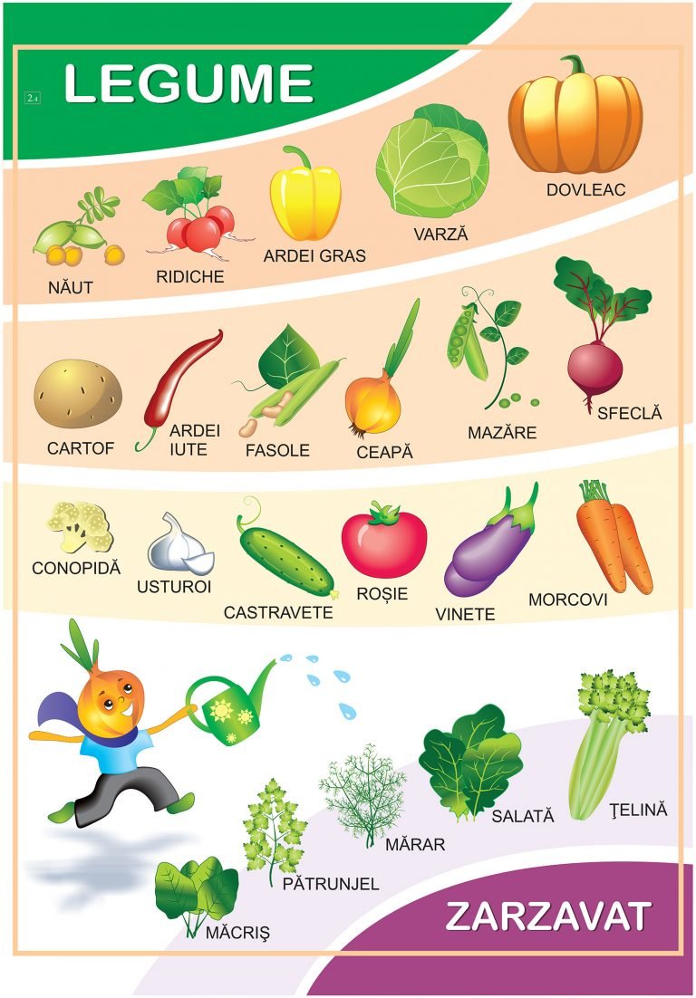 Fructe și legume; planșe - Editura Epigraf