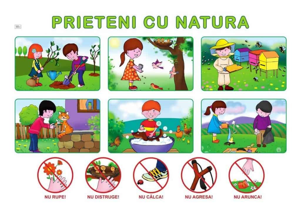Ecologie și protecția mediului; planșe - Editura Epigraf